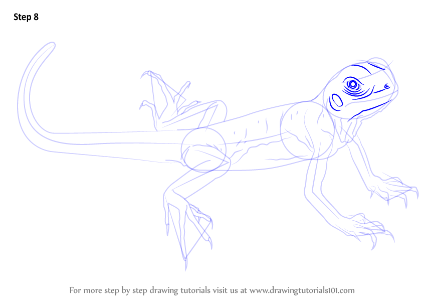 How to Draw a Green Lizard (Lizards) Step by Step | DrawingTutorials101.com