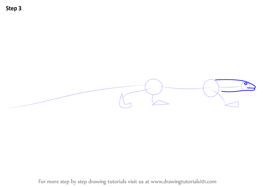 How to Draw a Nile Monitor (Lizards) Step by Step | DrawingTutorials101.com