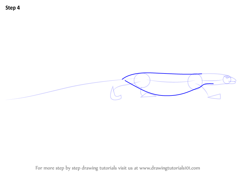 How to Draw a Nile Monitor (Lizards) Step by Step | DrawingTutorials101.com