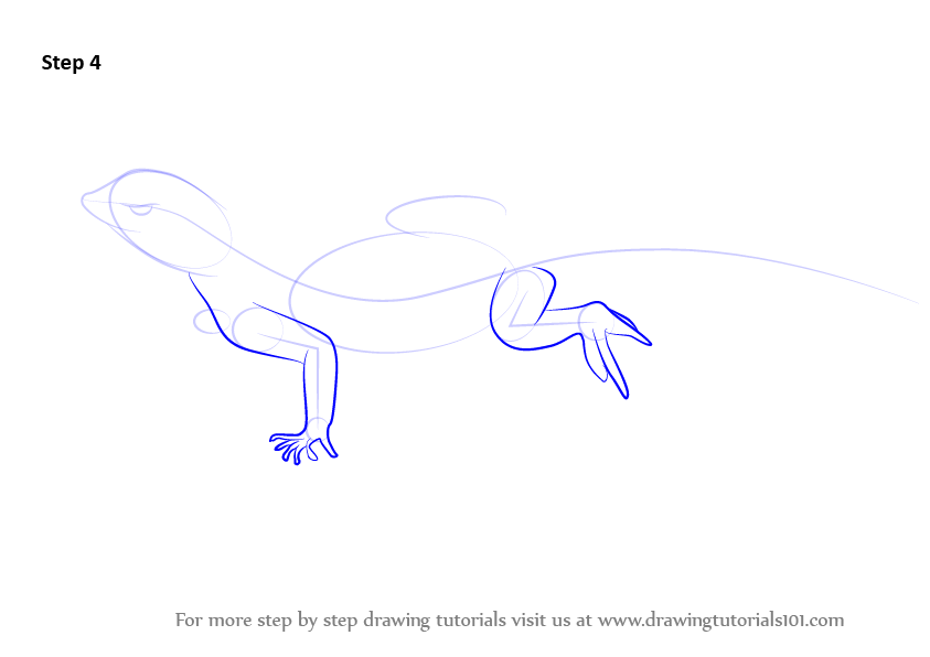 How to Draw an Uma Lizard (Lizards) Step by Step | DrawingTutorials101.com