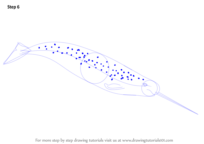 How to Draw a Narwhale (Marine Mammals) Step by Step ...