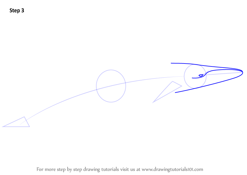 How to Draw a Sei Whale (Marine Mammals) Step by Step ...