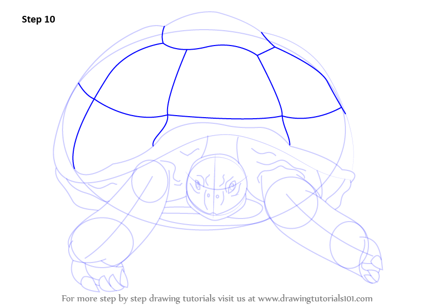 How to Draw an African Spurred Tortoise (Other Animals) Step by Step ...