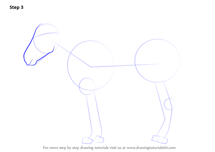 How to Draw an African Wild Ass (Other Animals) Step by Step ...
