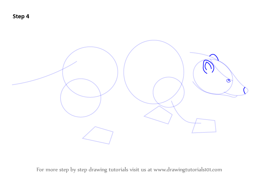 How to Draw an American Badger (Other Animals) Step by Step ...