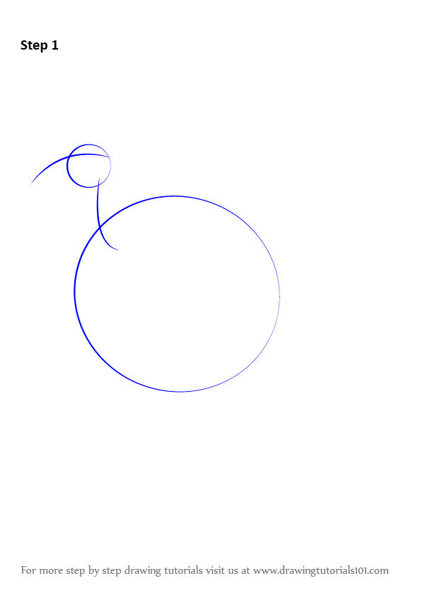 How to Draw an Australian brushturkey (Other Animals) Step by Step ...