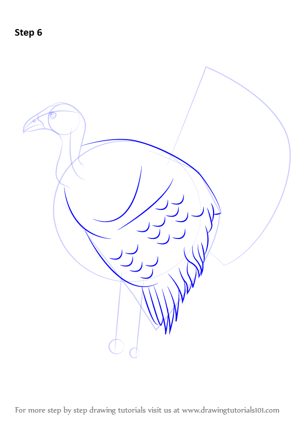 How to Draw an Australian brushturkey (Other Animals) Step by Step ...