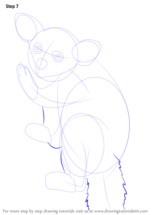 How to Draw a Aye-Aye (Other Animals) Step by Step ...