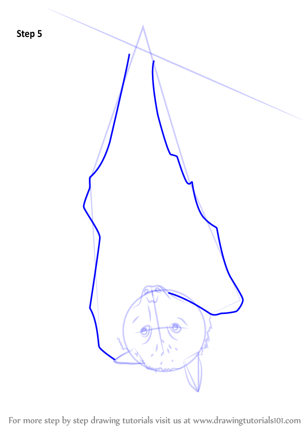 How to Draw a Black Flying Fox (Other Animals) Step by Step ...