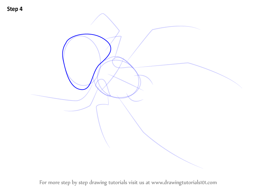 How to Draw a Bolas Spider (Other Animals) Step by Step ...