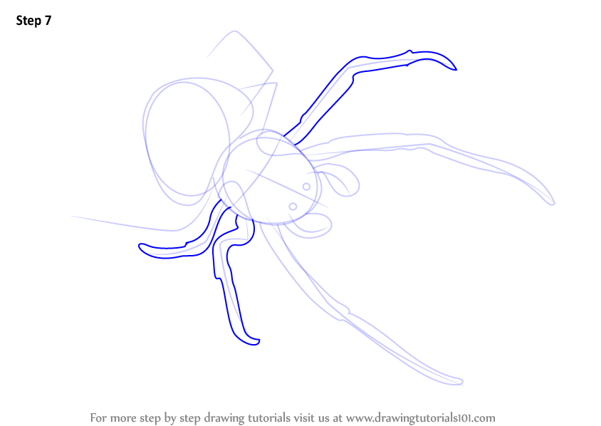 How to Draw a Bolas Spider (Other Animals) Step by Step ...