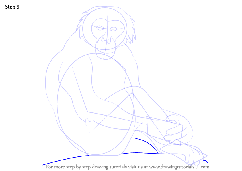How to Draw a Bonobo (Other Animals) Step by Step | DrawingTutorials101.com