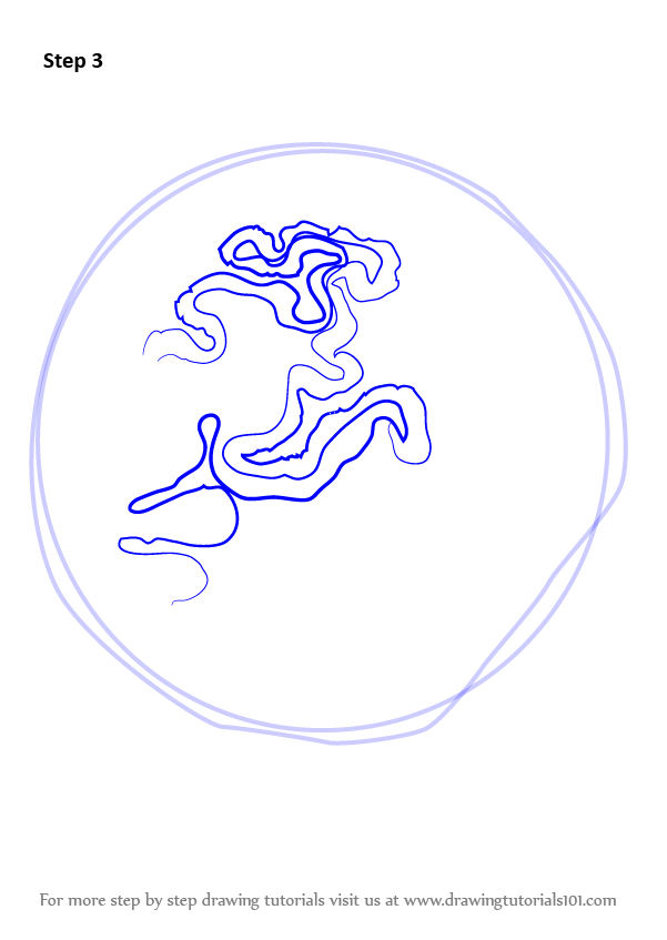 How to Draw a Brain Coral (Other Animals) Step by Step ...
