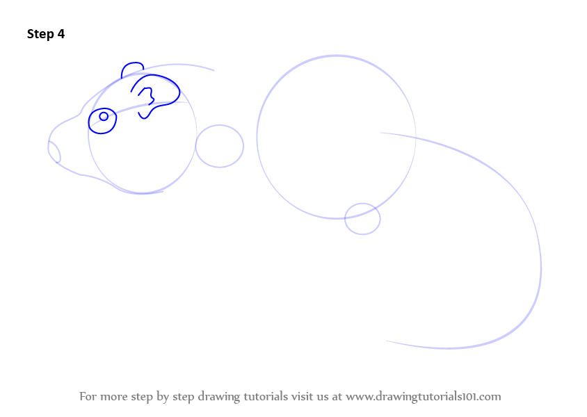 How to Draw a Dormouse (Other Animals) Step by Step ...