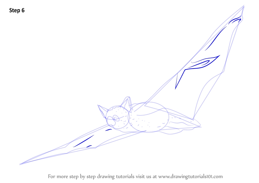 How to Draw an Indiana Bat (Other Animals) Step by Step ...