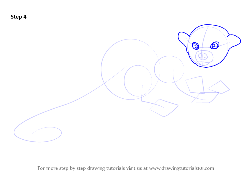 Baby Kinkajou Drawing