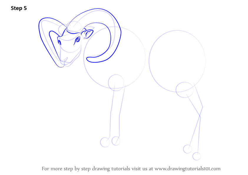 How to Draw a Mouflon (Other Animals) Step by Step ...