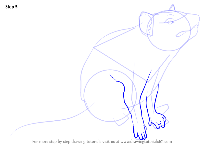 How to Draw Tasmanian devil (Other Animals) Step by Step ...