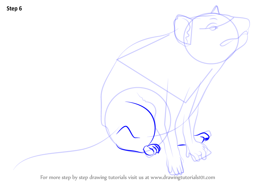 How to Draw Tasmanian devil (Other Animals) Step by Step ...