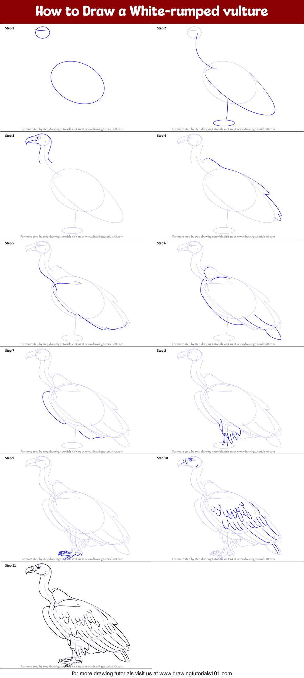 How to Draw a White-rumped vulture (Other Animals) Step by Step | DrawingTutorials101.com