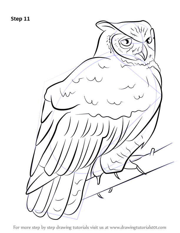 How to Draw a Great Horned Owl (Owls) Step by Step ...