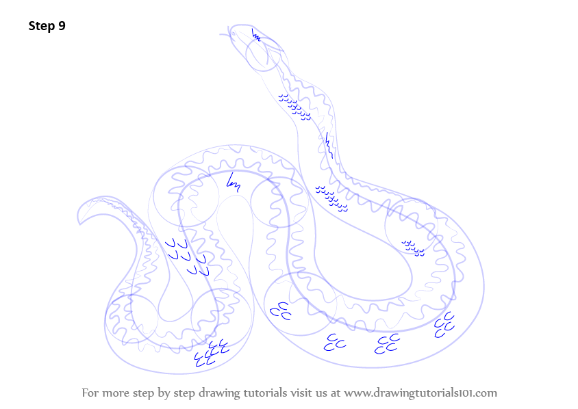 How to Draw an Adder (Reptiles) Step by Step | DrawingTutorials101.com