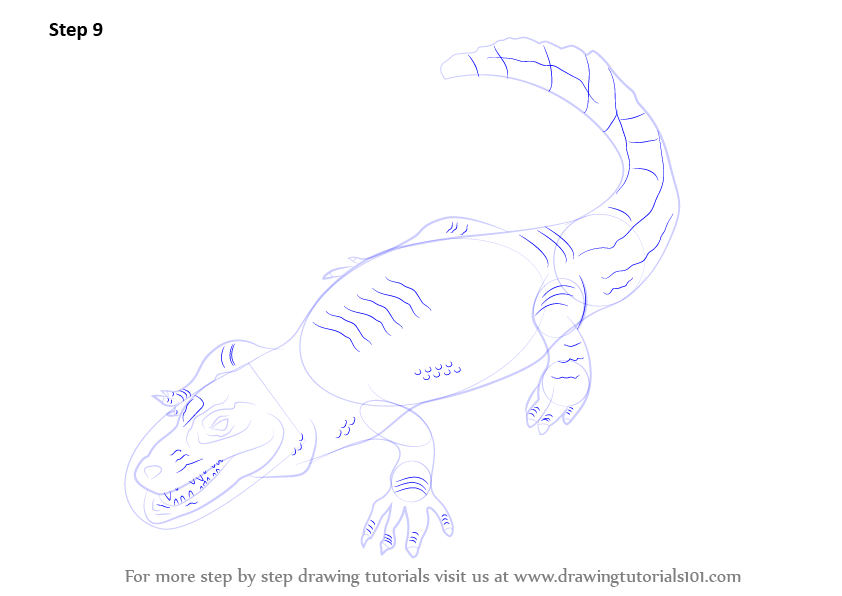 How to Draw a Caiman (Reptiles) Step by Step | DrawingTutorials101.com