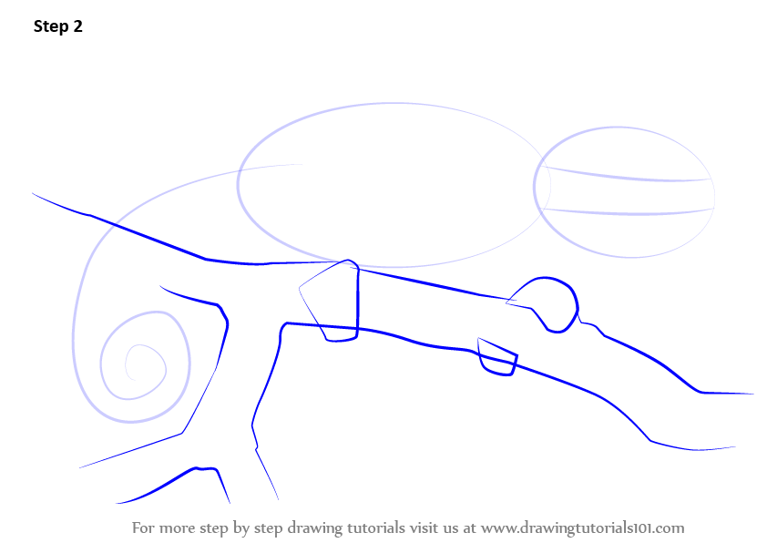 How to Draw a Cape dwarf chameleon (Reptiles) Step by Step | DrawingTutorials101.com