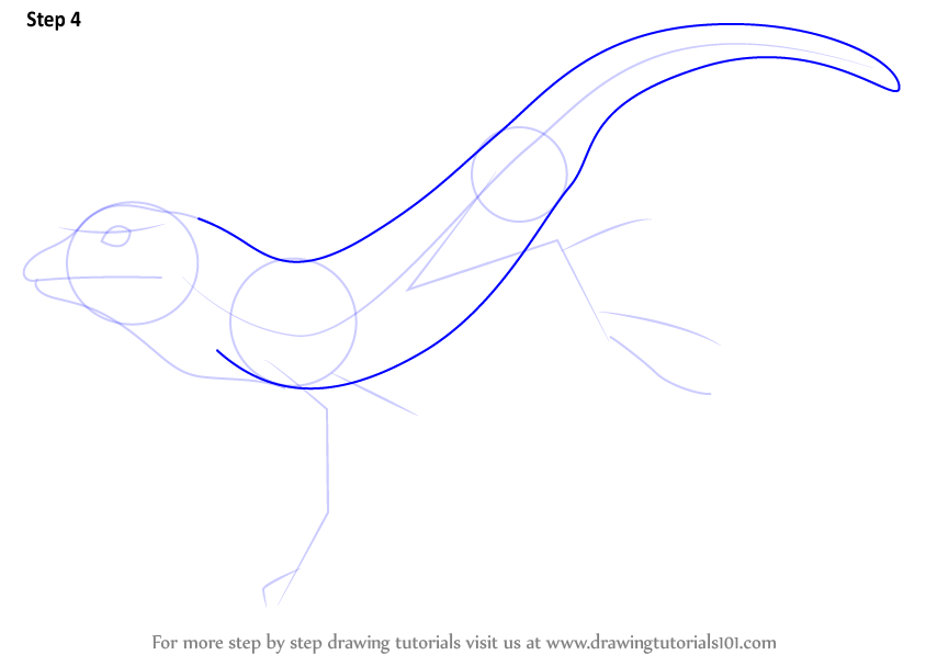 How to Draw a Changeable Lizard (Reptiles) Step by Step | DrawingTutorials101.com