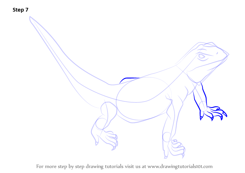 How to Draw a Chuckwalla (Reptiles) Step by Step | DrawingTutorials101.com