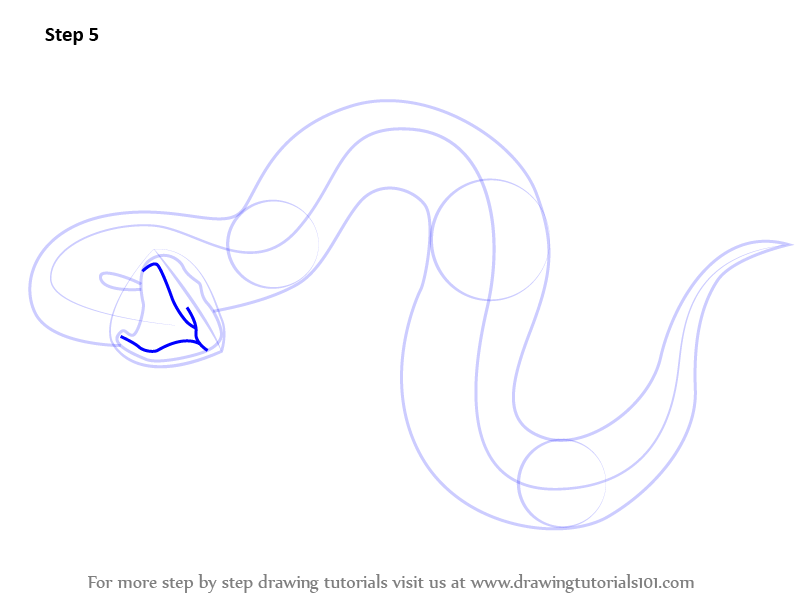 How to Draw a Cottonmouth (Reptiles) Step by Step | DrawingTutorials101.com