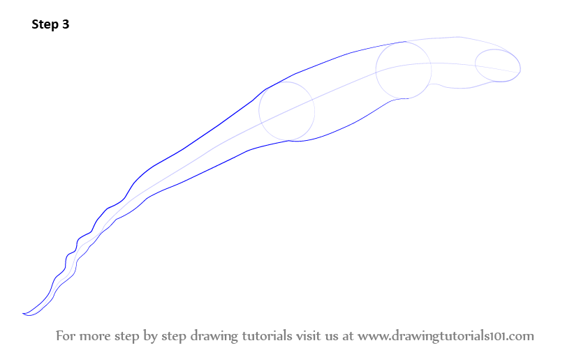 How to Draw a Monitor Lizard (Reptiles) Step by Step ...