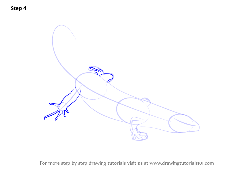 How to Draw an Ocellated Skink (Reptiles) Step by Step ...