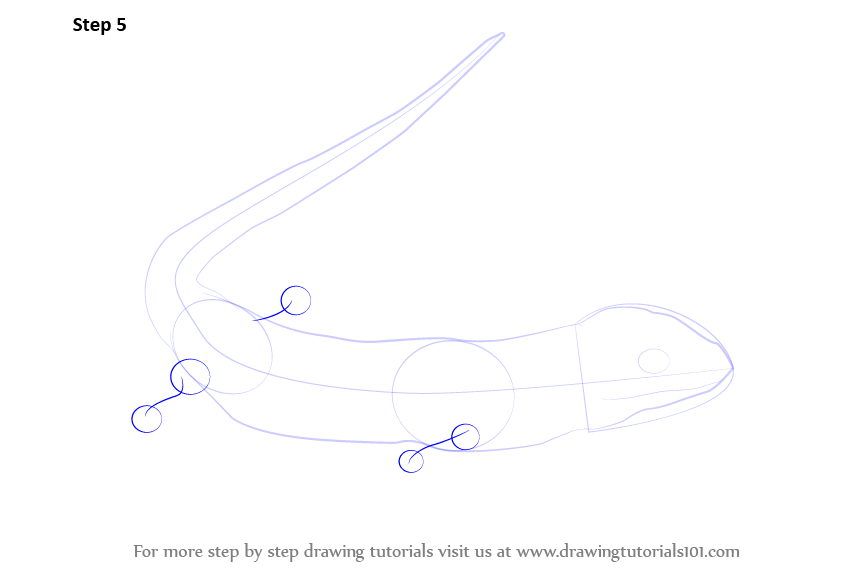How to Draw a Sand Lizard (Reptiles) Step by Step | DrawingTutorials101.com