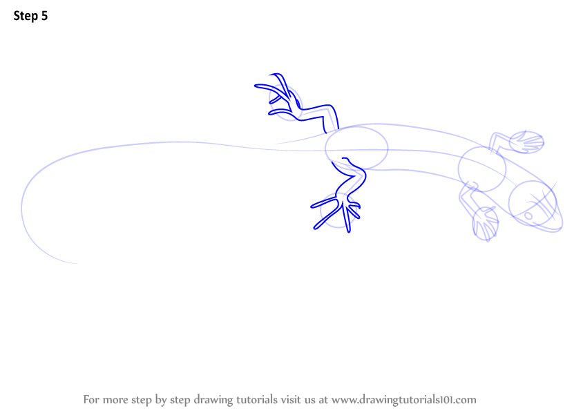 Easy To Draw Reptiles For Kids