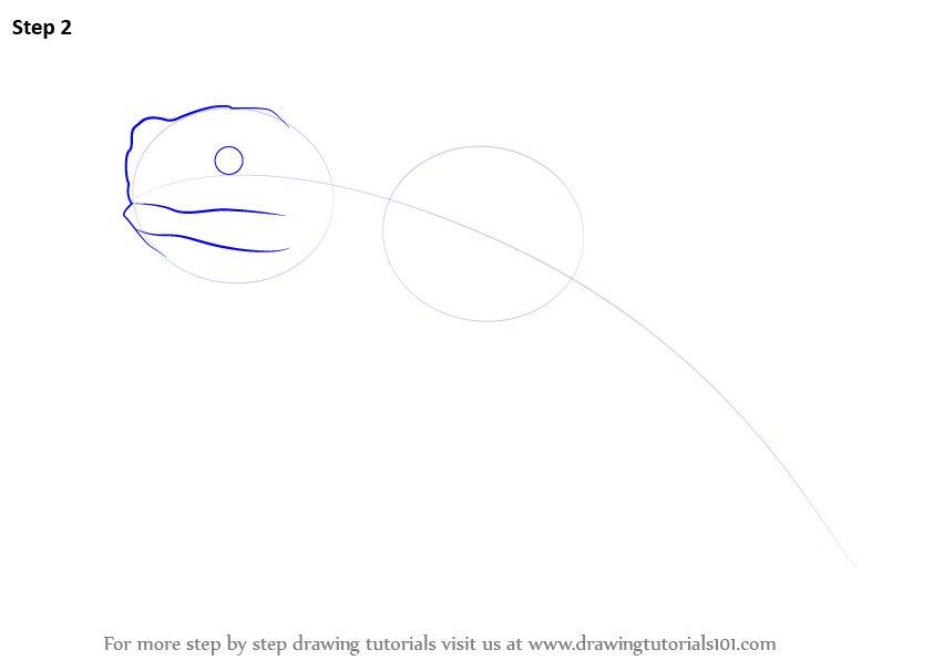 How to Draw a Tuatara (Reptiles) Step by Step | DrawingTutorials101.com