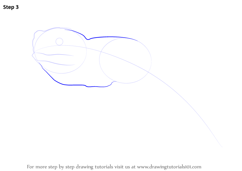 How to Draw a Tuatara (Reptiles) Step by Step | DrawingTutorials101.com