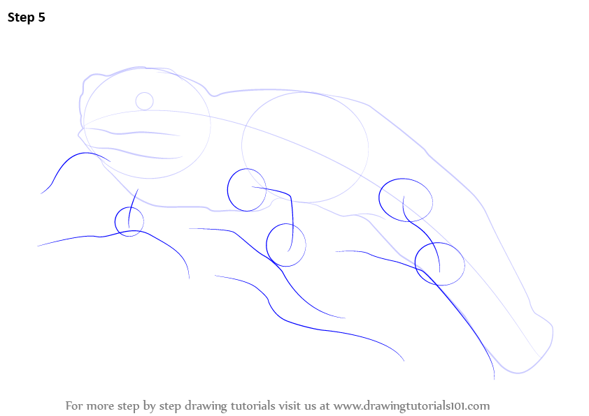 How to Draw a Tuatara (Reptiles) Step by Step | DrawingTutorials101.com