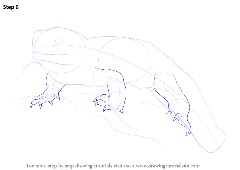 How to Draw a Tuatara (Reptiles) Step by Step | DrawingTutorials101.com