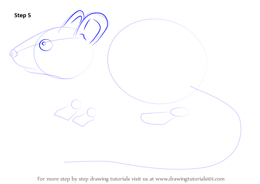 How to Draw a Mouse (Rodents) Step by Step | DrawingTutorials101.com