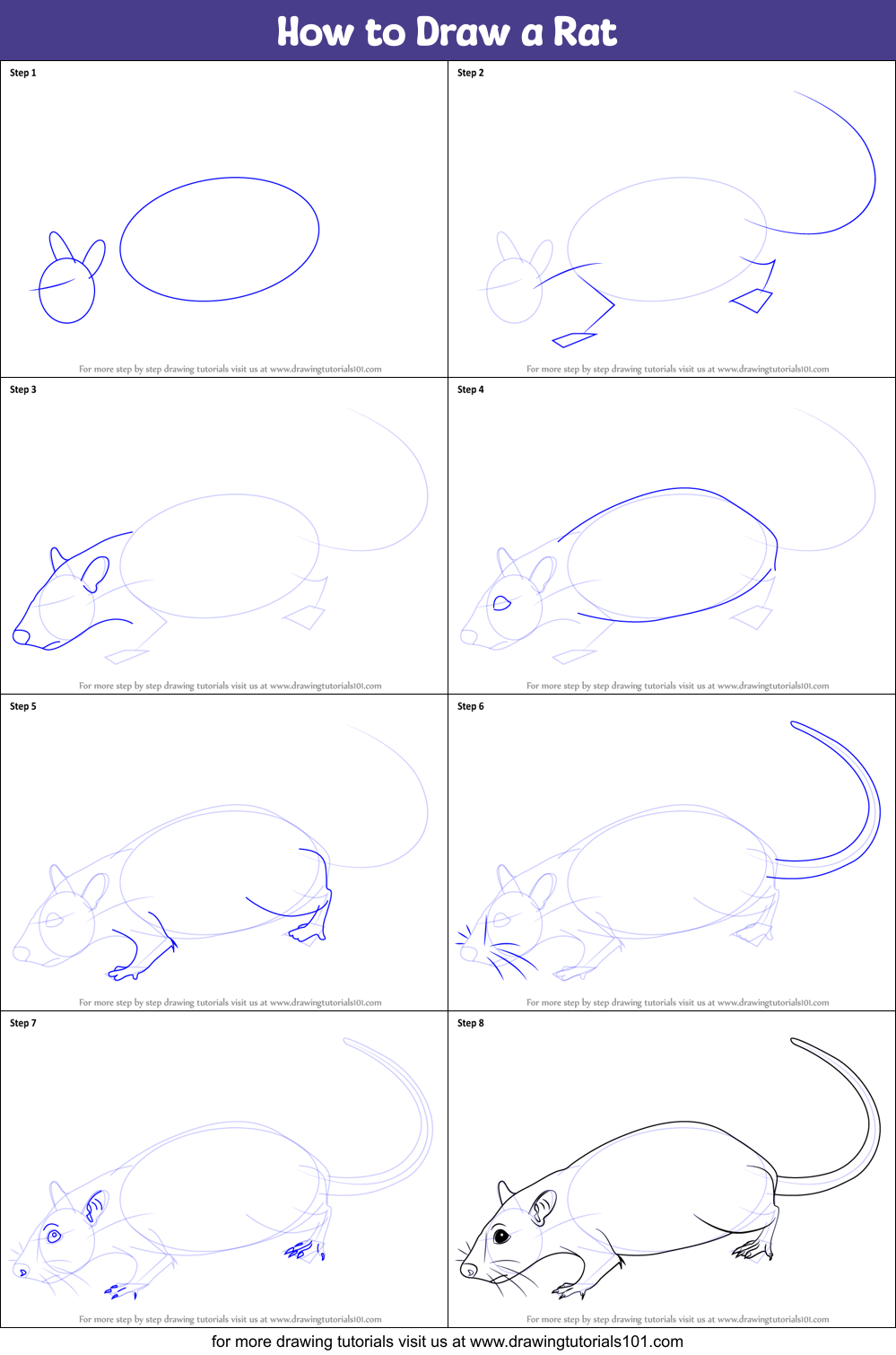 How To Draw A Rat Printable Step By Step Drawing Sheet How To Draw A Rat Printable Step By Step Drawing Sheet