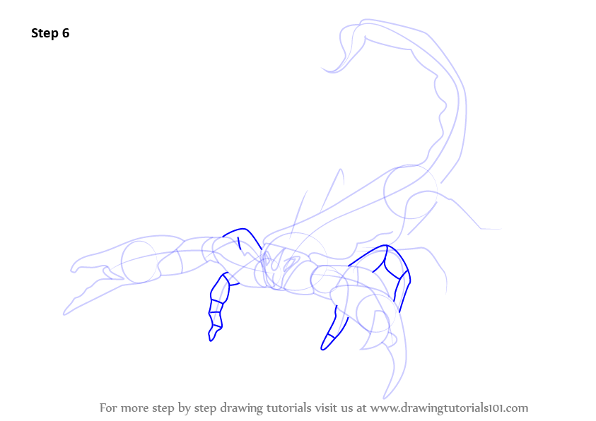 How to Draw an Emperor Scorpion (Scorpions) Step by Step | DrawingTutorials101.com