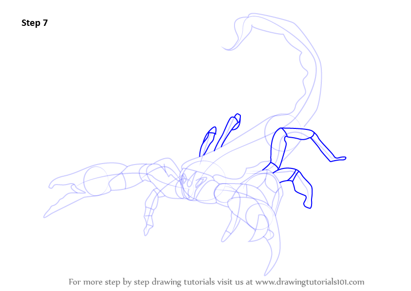 How to Draw an Emperor Scorpion (Scorpions) Step by Step | DrawingTutorials101.com