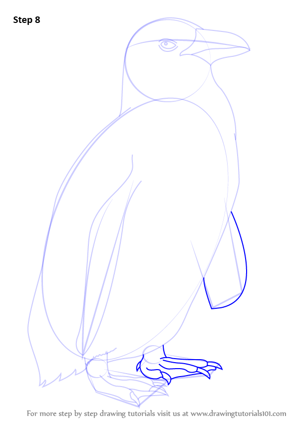 How to Draw an African Penguin (Sea Water Animals) Step by Step ...