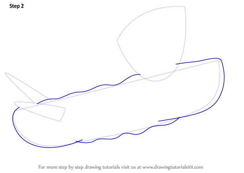 How to Draw a Nudibranch (Sea Water Animals) Step by Step ...