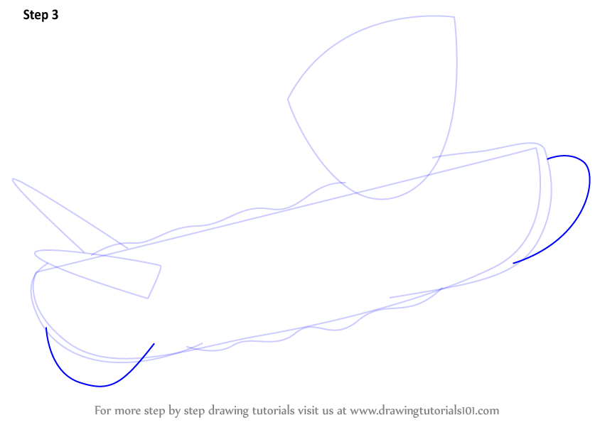 How to Draw a Nudibranch (Sea Water Animals) Step by Step ...