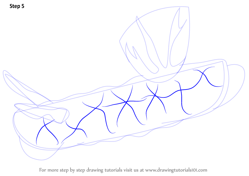 How to Draw a Nudibranch (Sea Water Animals) Step by Step ...