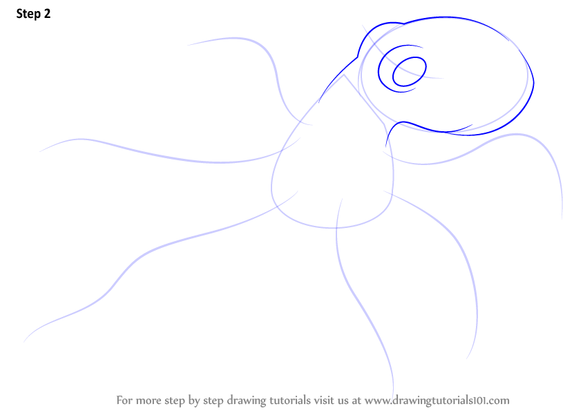 How to Draw a Octopus (Sea Water Animals) Step by Step ...