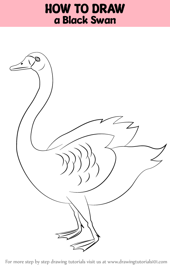 Easy Way To Draw A Swan