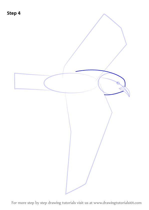 How to Draw a Markham's storm petrel (Seabirds) Step by Step ...